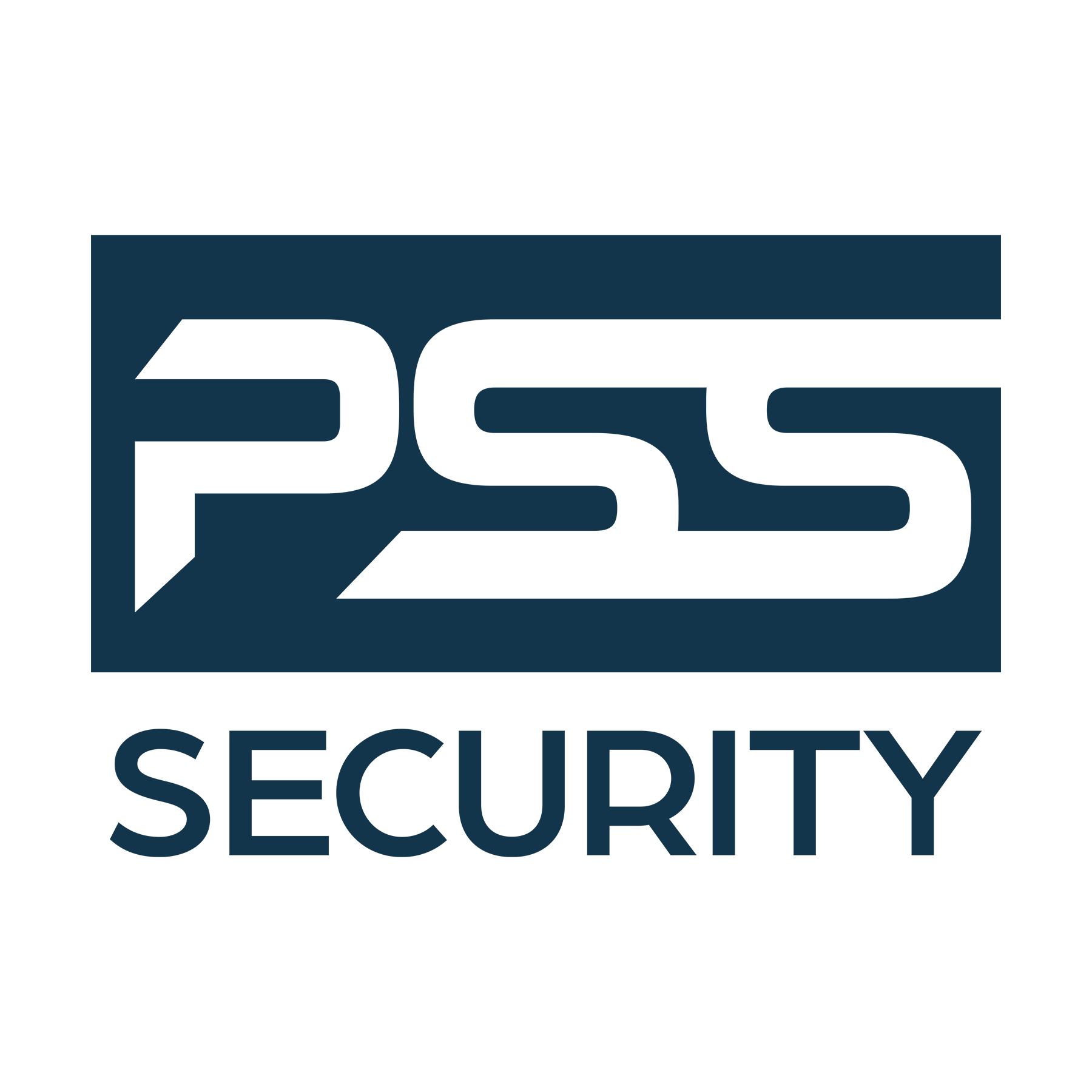 PSS Security